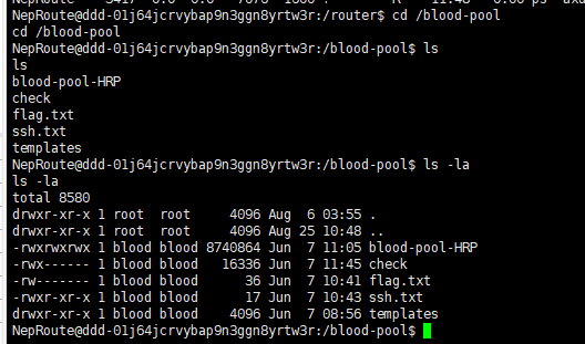 NepCTF 2024 | 晨曦的个人小站